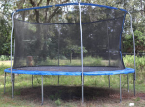 Large Items - Junk removal in Gainesville, FL and surrounding areas